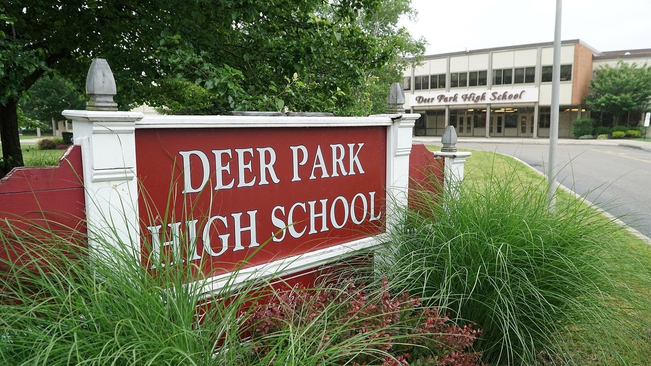 Spectator brawl mars Deer Park boys basketball playoff win over ...