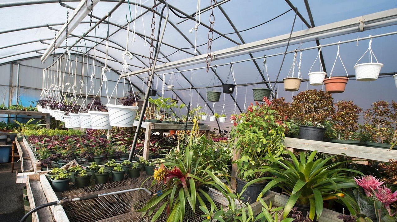 Clark Botanic Garden upgrade means more flowers and research - Newsday