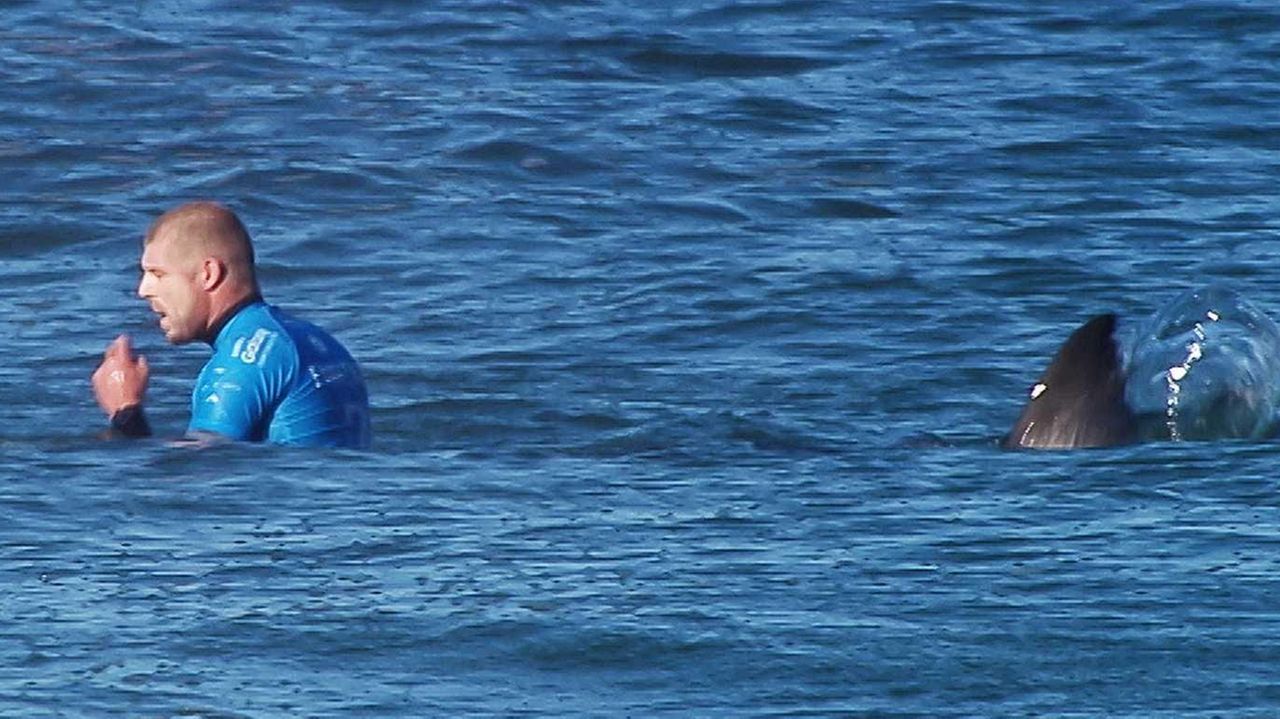 Surfer fights off shark during South Africa competition - Newsday
