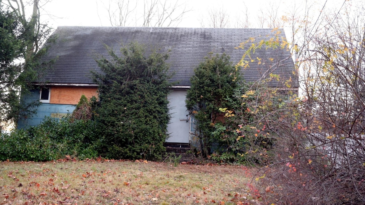 Man charged with animal cruelty after dogs found in unclean conditions ...
