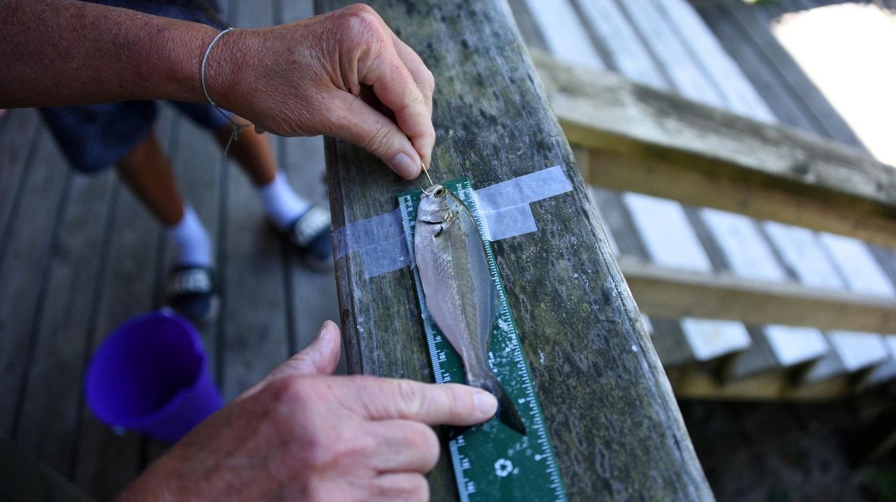 Family fishing derby takes over Captree State Park this August - Newsday