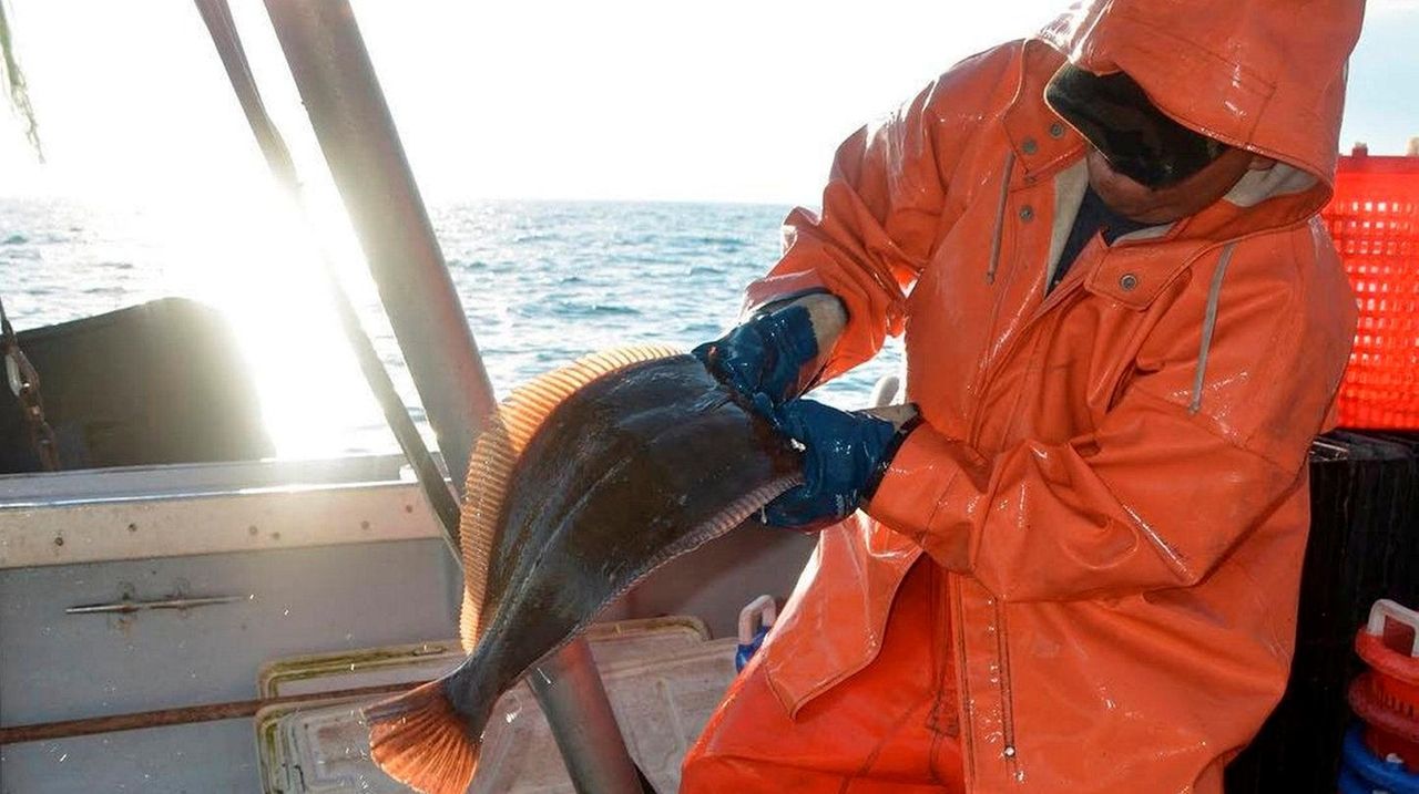 New York right to angle for fairer fluke catch - Newsday