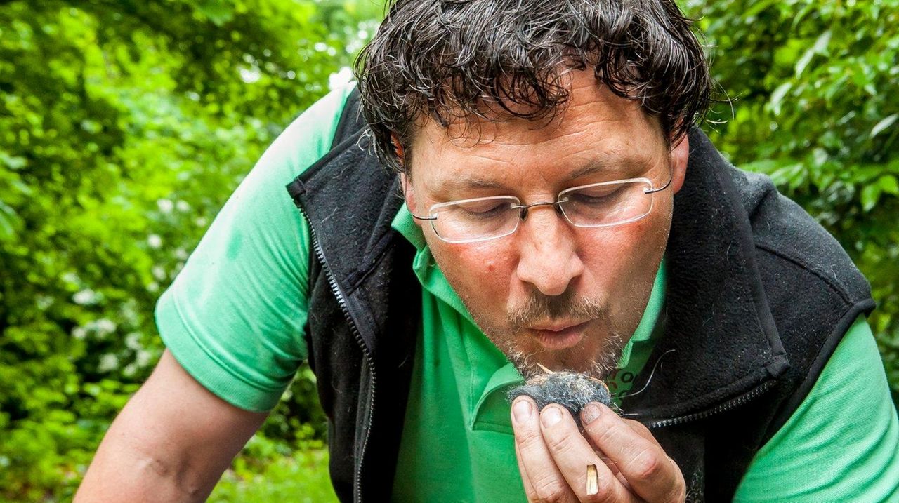 Surviving in extreme conditions — and suburbia - Newsday