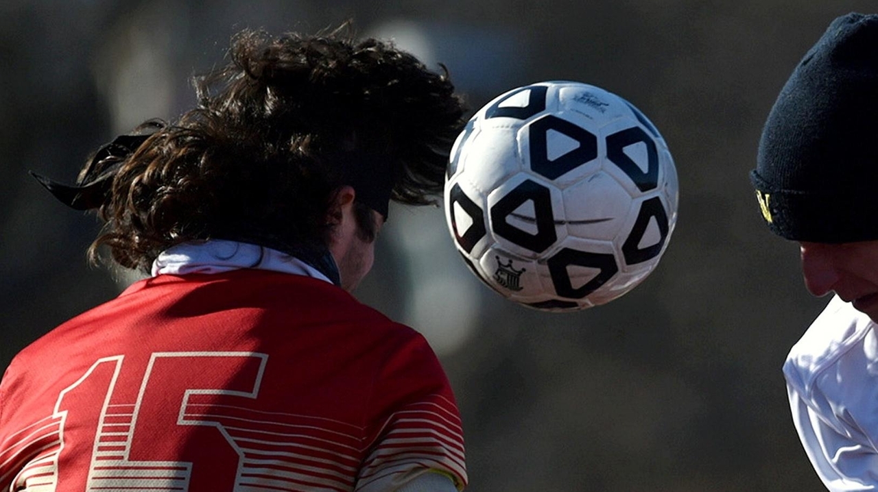 Amateur soccer players show changes in brain structure, study finds ...