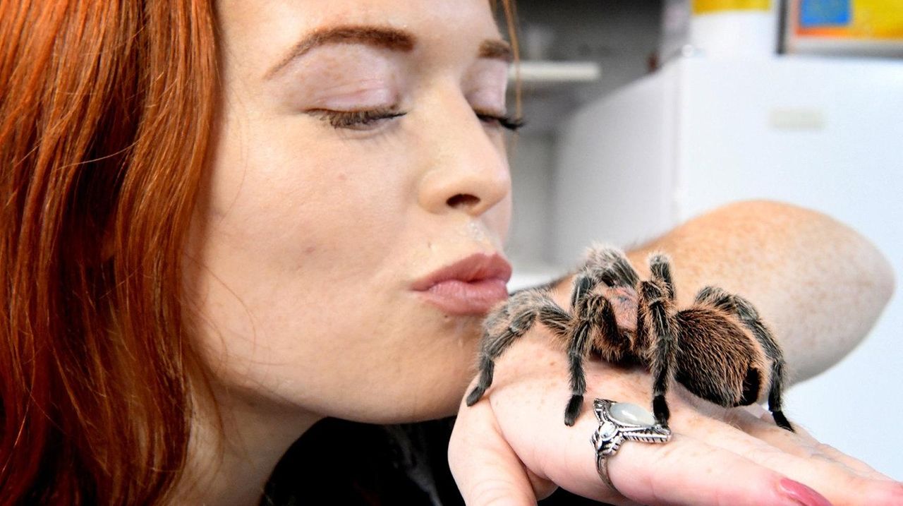 Spiders are creepy and cool — and they can make good pets - Newsday