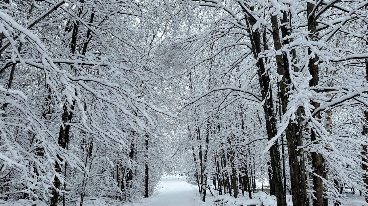 Snowfall, rain, gusty winds hit Northeast as Tennessee recovers from ...