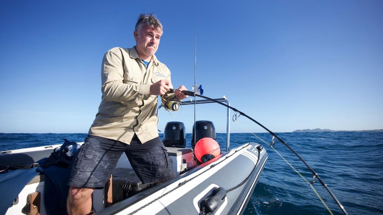 Montauk's Craig O'Connell talks 'Shark Week,' what to expect on LI this ...