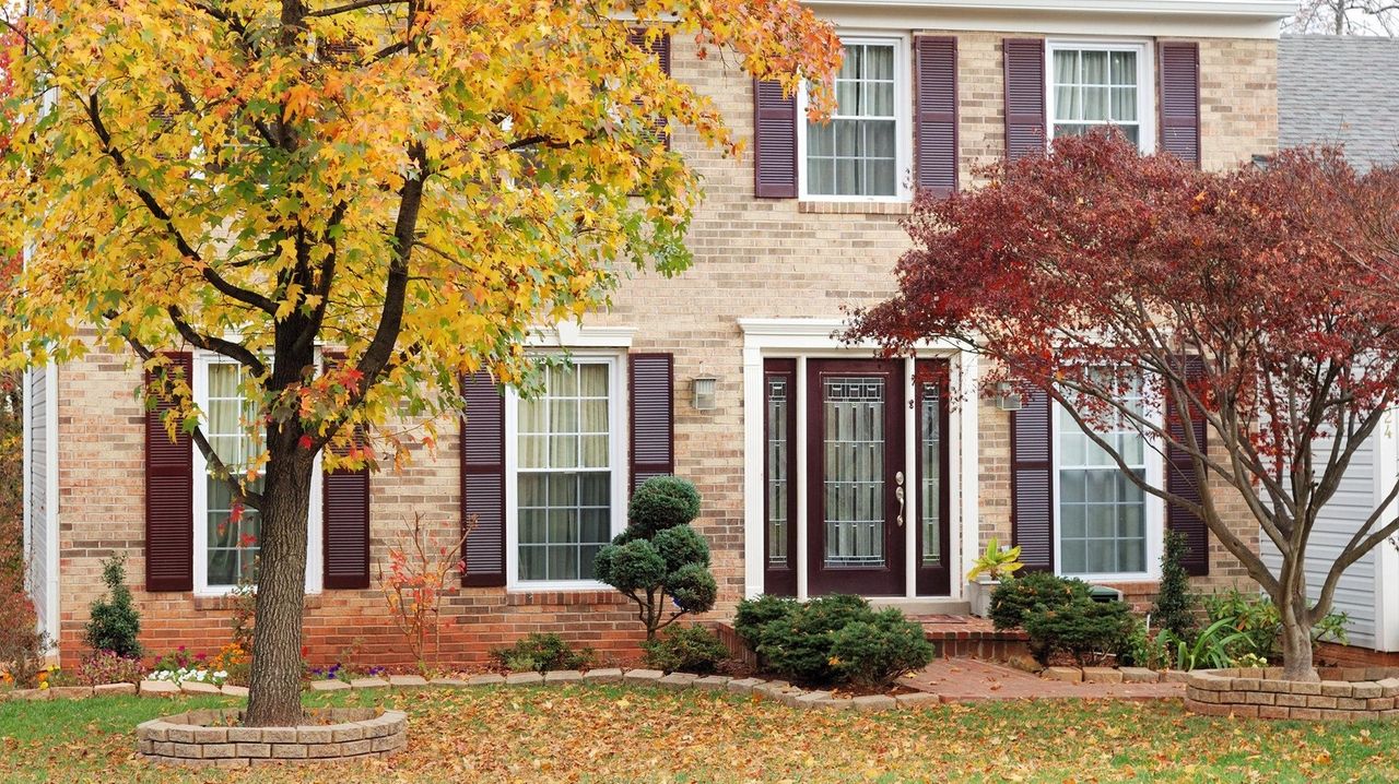 Long Island tree care 101 - Newsday