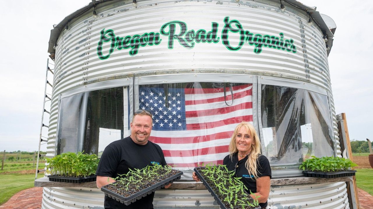 Three more pot cultivation licenses issued on LI - Newsday