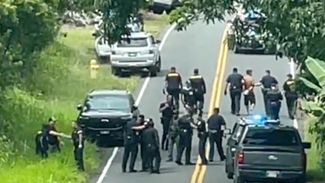 Man charged with murder in killings of 3 on Hawaii's Big Island - Newsday