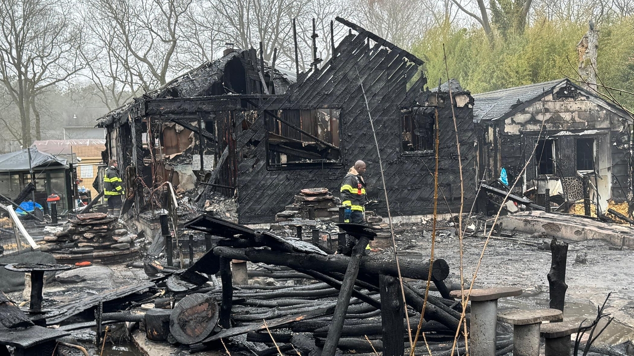Officials: Founder of animal sanctuary killed in fire - Newsday