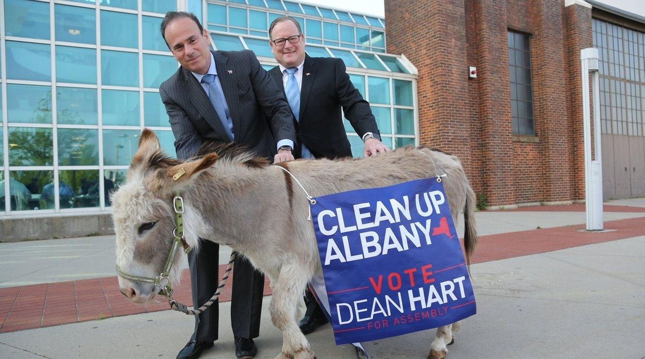 Dean Hart bringing donkey to Nassau Democrats’ convention - Newsday