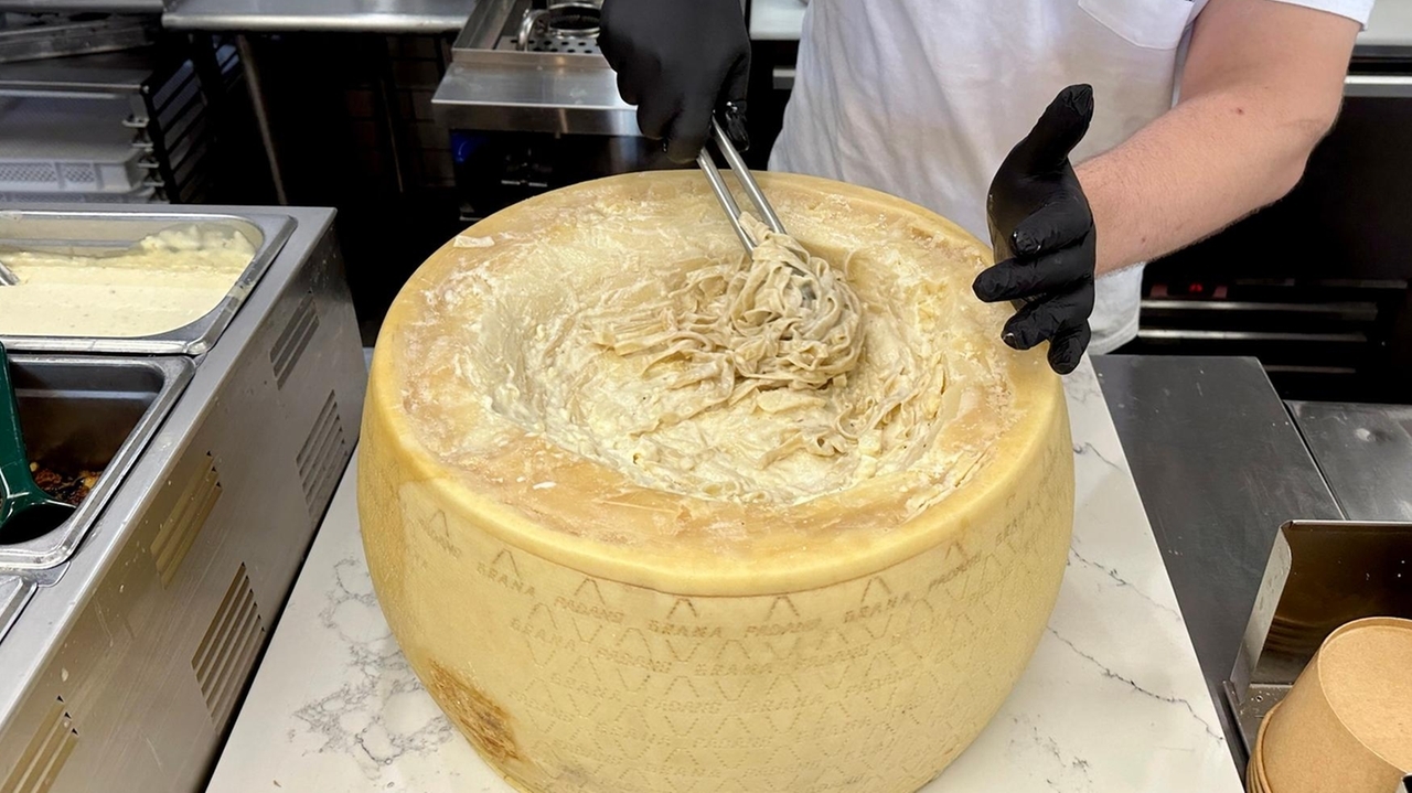 Pasta Project opens inside Gino's of Farmingdale - Newsday