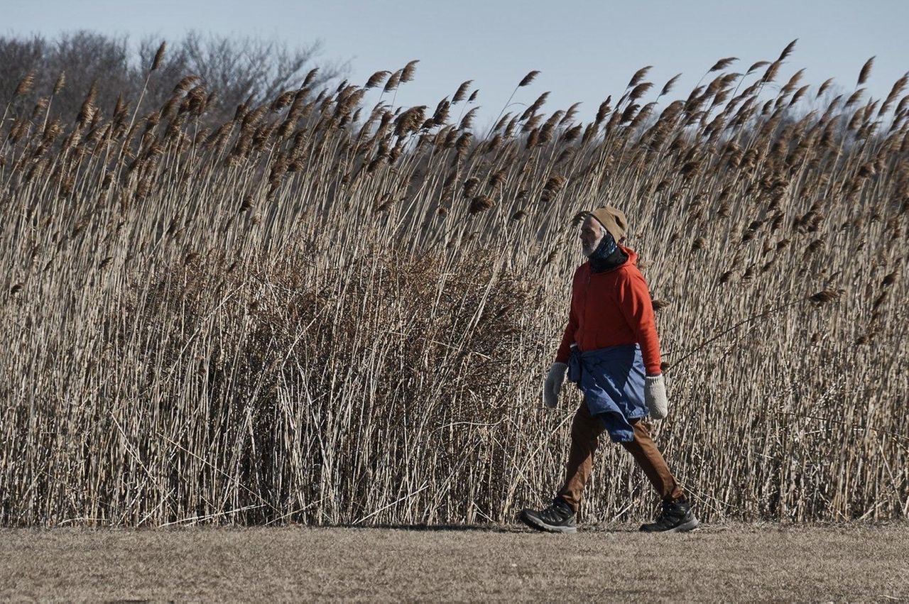 LI weather: Six to 12 inches possible tonight into Tuesday - Newsday