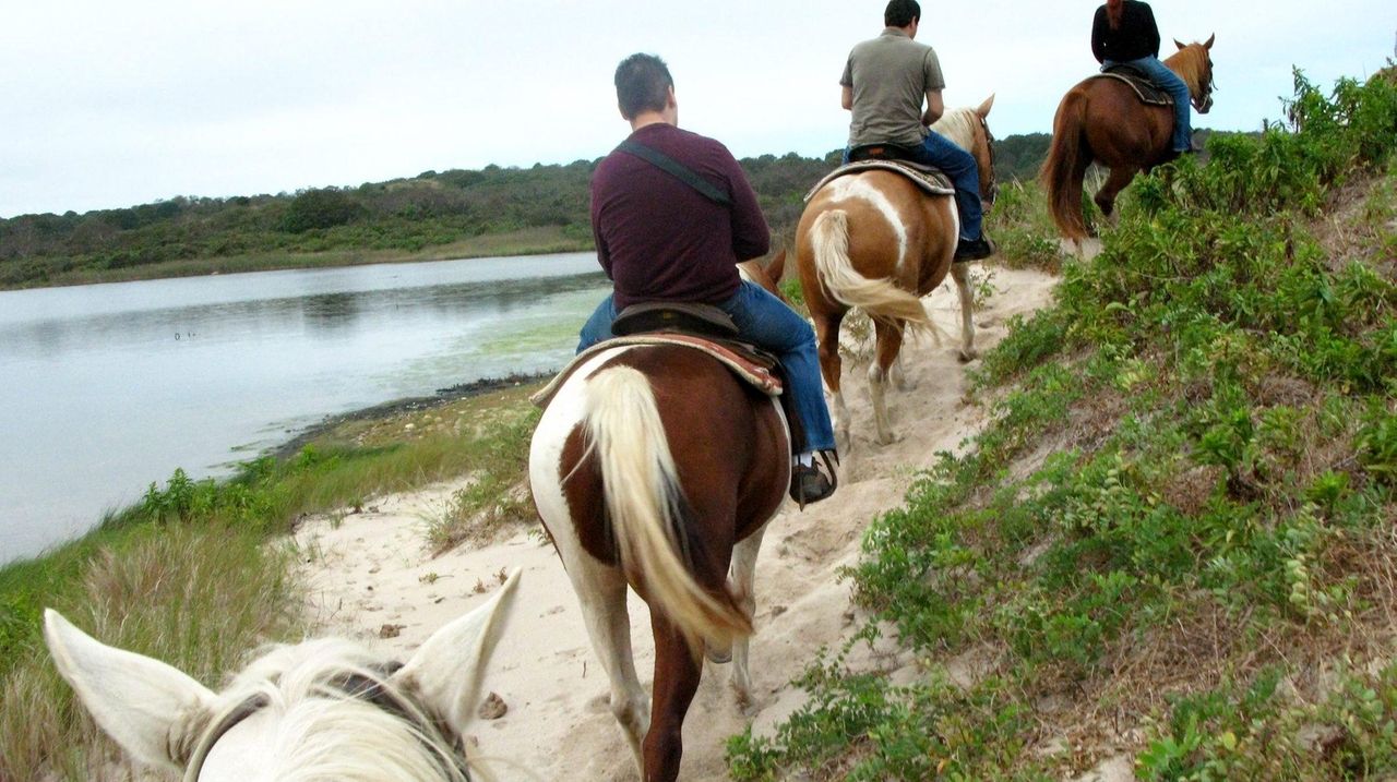 Stables to go horseback riding, take lessons on Long Island - Newsday
