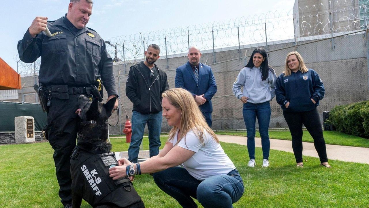 Fallen officer and detectives honored by Suffolk County Sheriff's ...