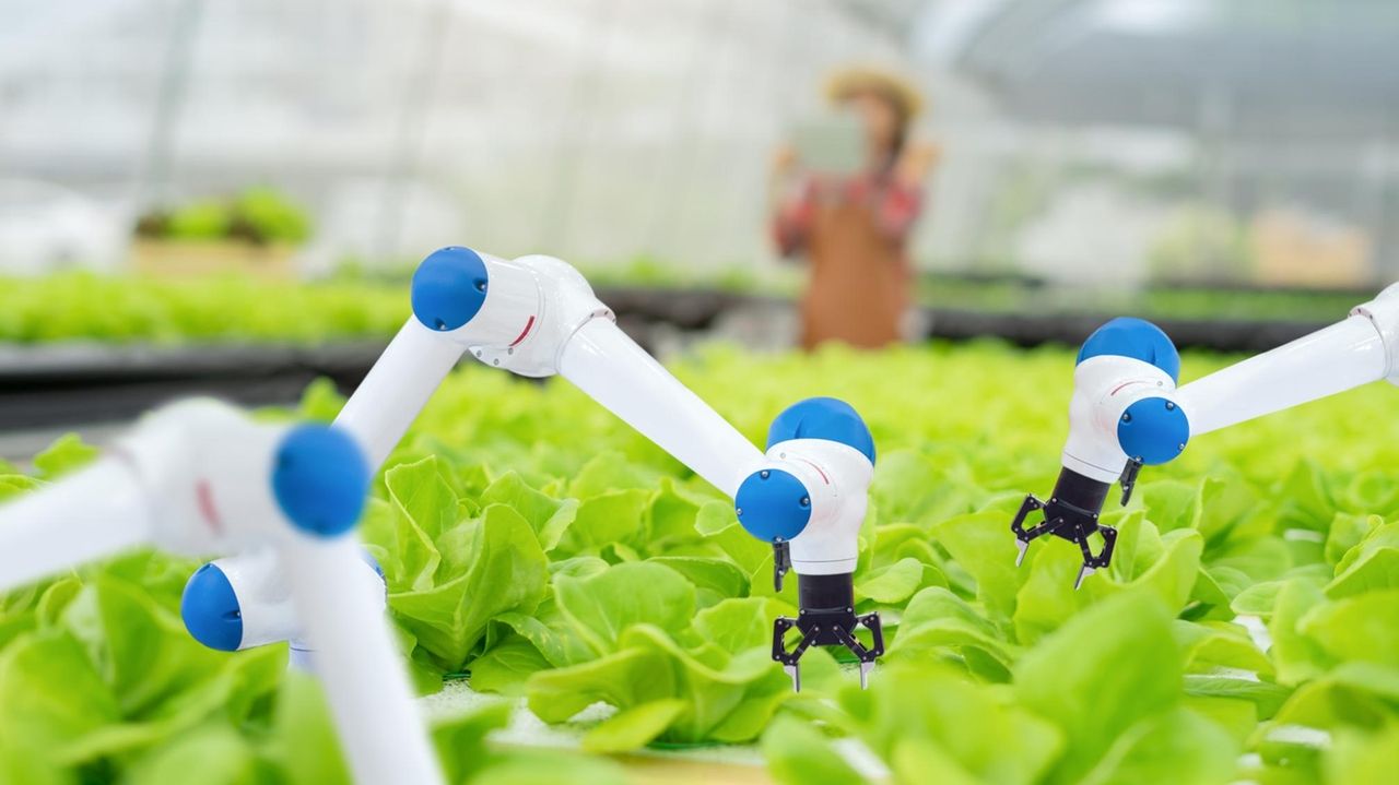 With high-tech farming, we can usher in a rural renaissance - Newsday