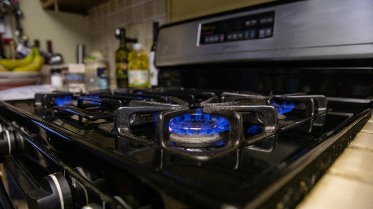 Power grid fixes, gas stove hazards, food labels, more - Newsday