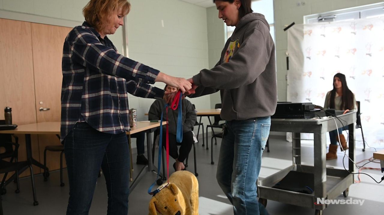Babylon Animal Shelter hires trainer to teach about dog behavior - Newsday
