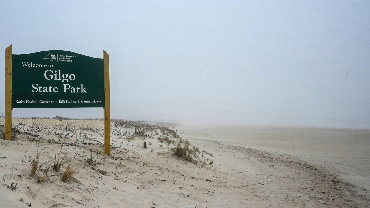 Gilgo Beach replenishment creates more room for 4-wheelers - Newsday