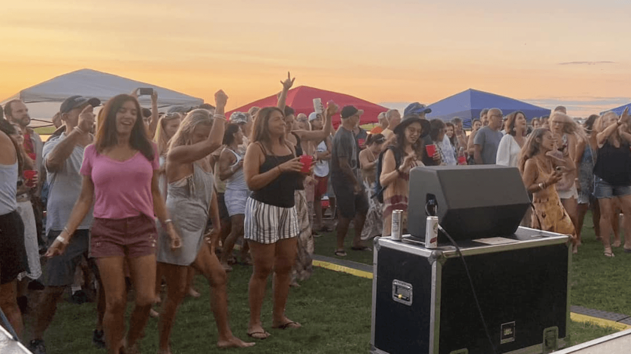 3 Long Island music festivals not to miss this summer - Newsday