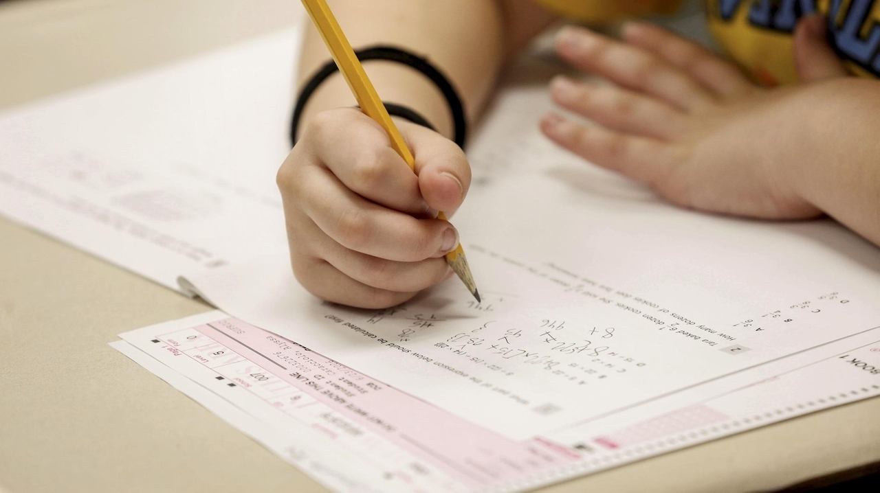 NYS standardized tests, school aid, traditional family, senior services ...