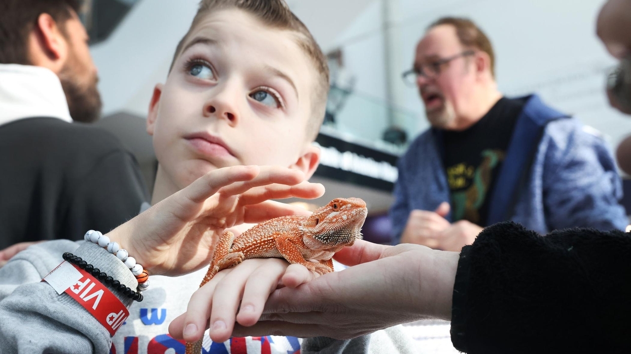 June events and things to do this weekend on Long Island - Newsday