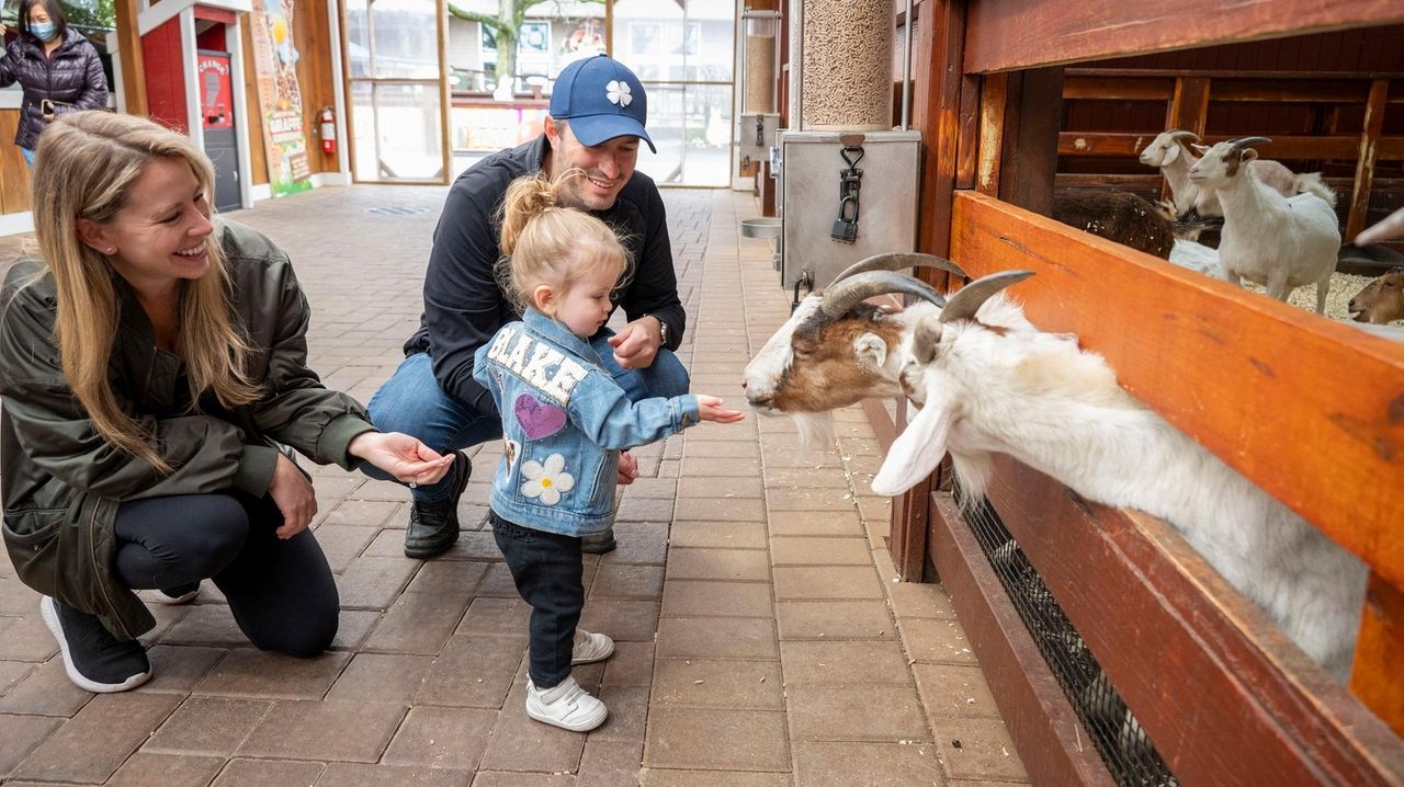 Long Island farms offer fall fun for families - Newsday