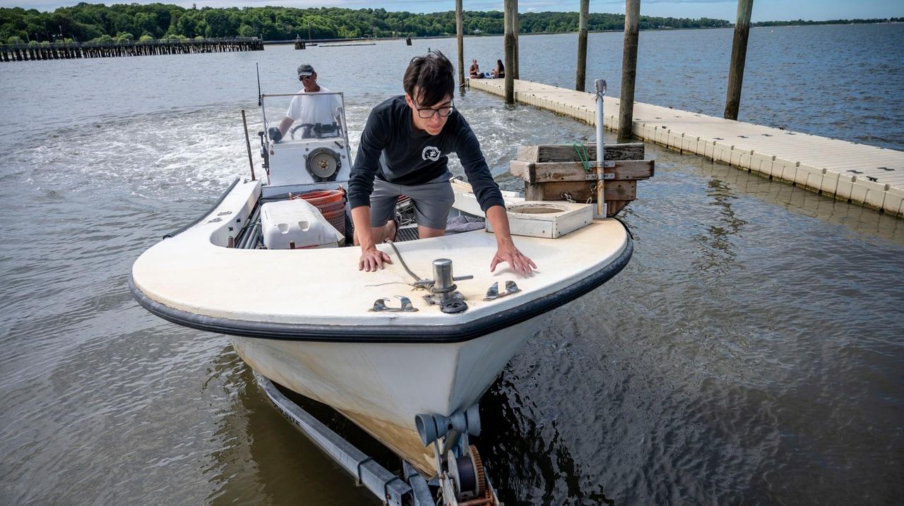 New plan could open up Oyster Bay shellfishing to more companies - Newsday