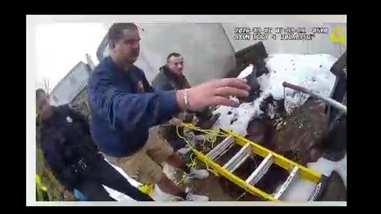 First responders rescue dog from cesspool in Shirley - Newsday