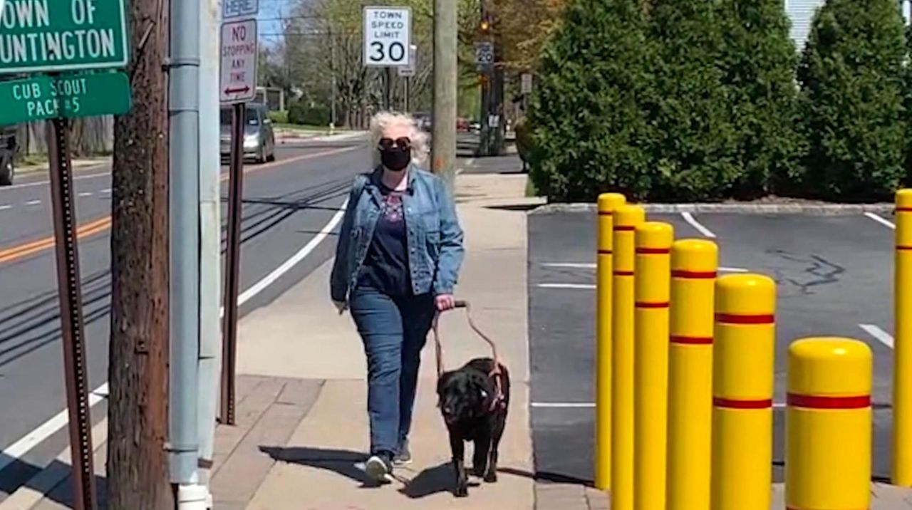 Guide dogs, owners face challenges of social distancing rules - Newsday