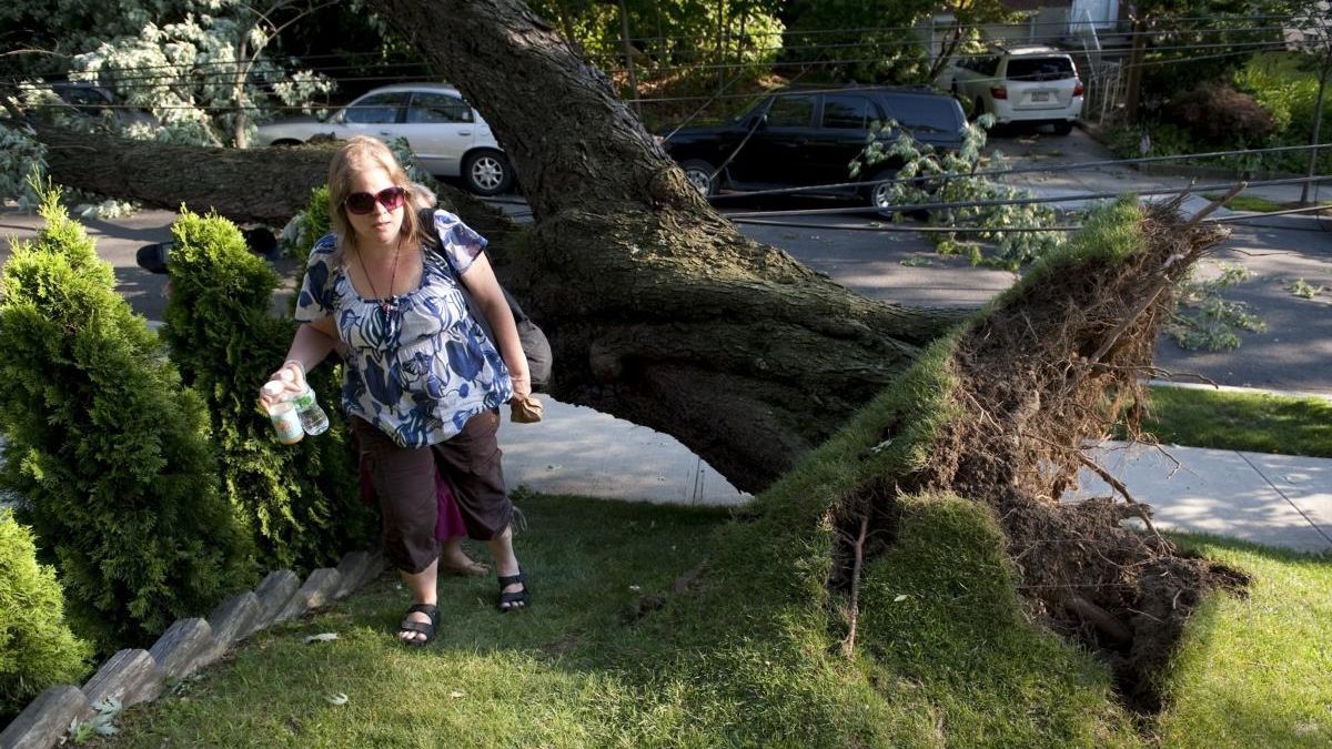 New LIPA plan tackles power outage communications - Newsday