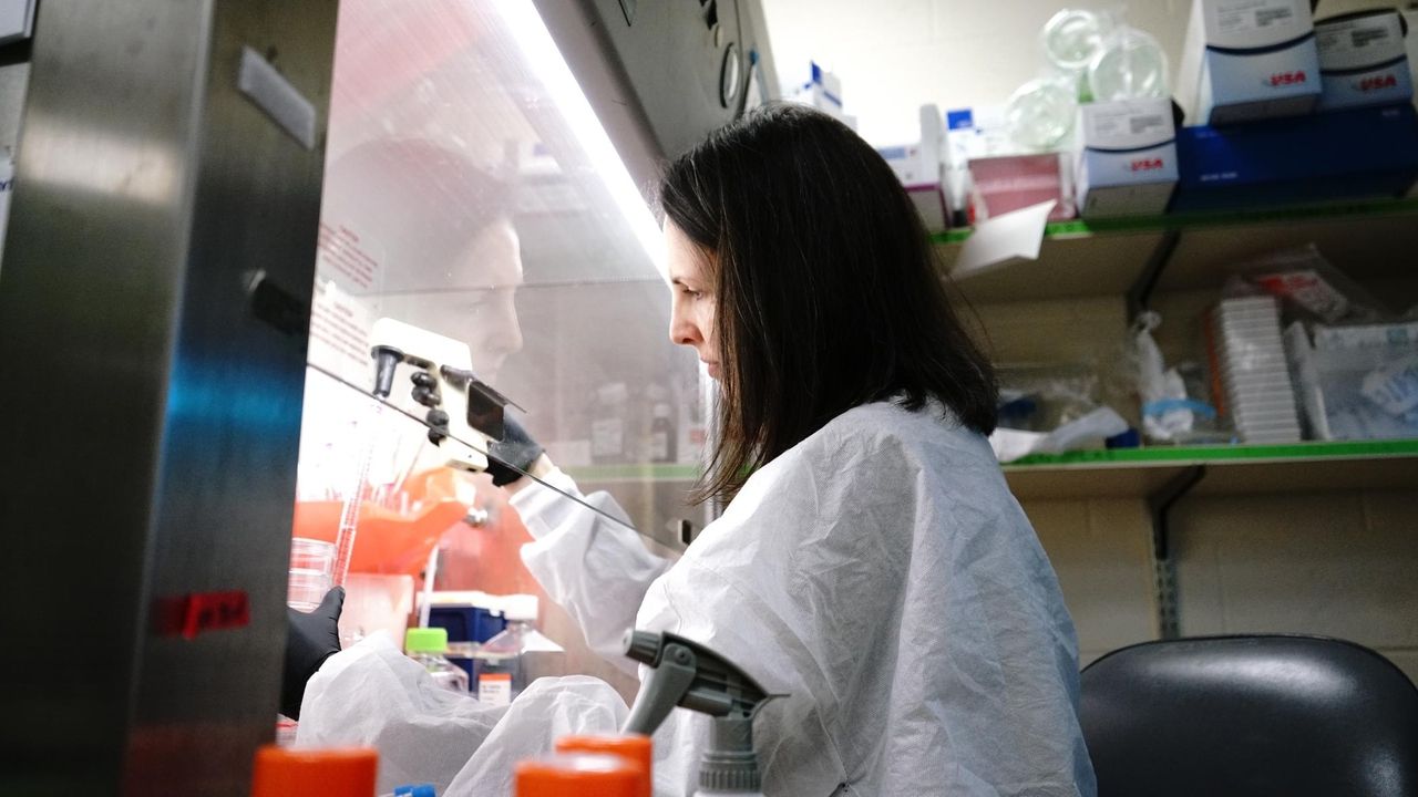 Breakthrough in pancreatic cancer research at LI lab - Newsday