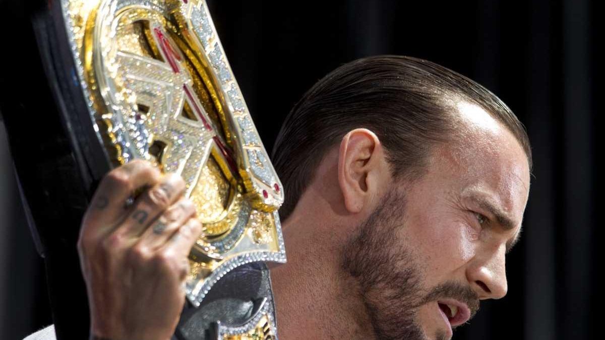 Cm Punk undergoes knee surgery, future in question - Newsday