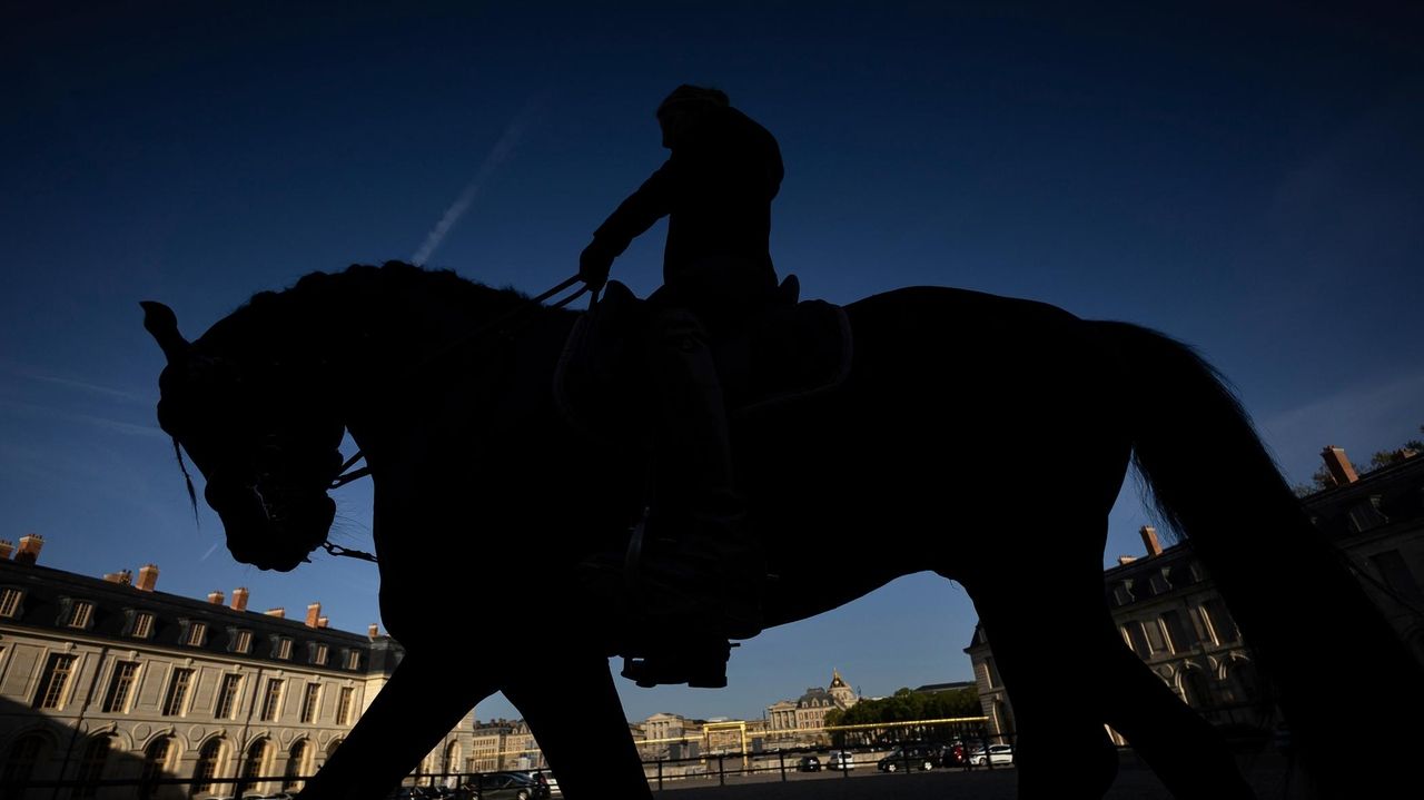 Horses show off in Versailles, keeping alive royal tradition at soon-to ...