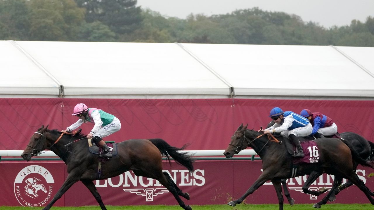 Late entry Bluestocking wins Prix de l'Arc de Triomphe - Newsday