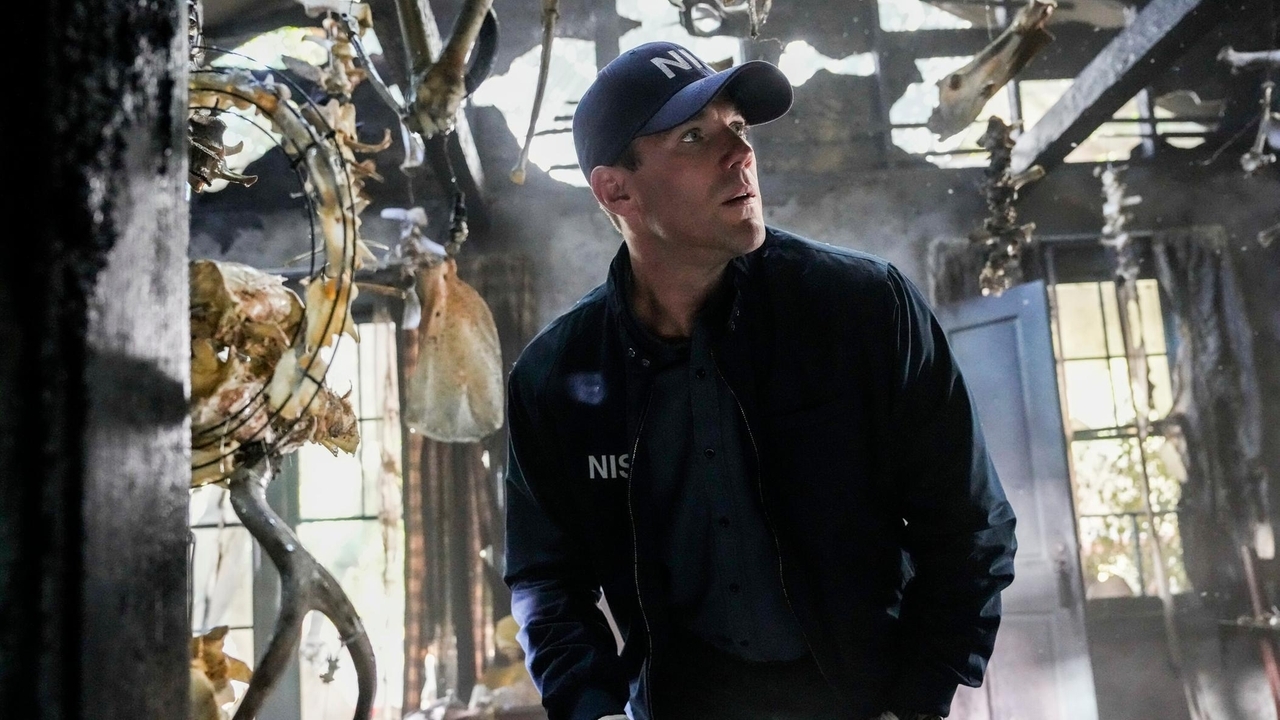'NCIS: Origins' review: Meet the young Leroy Jethro Gibbs - Newsday