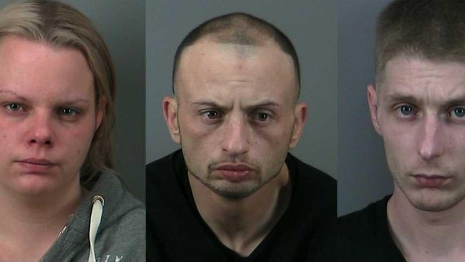 Upstate trio charged with felony robbery - Newsday
