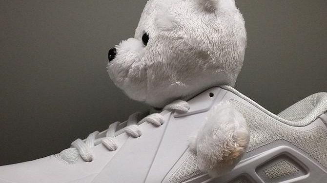 Metta World Peace, 'The Panda's Friend,' shows off new panda shoes ...