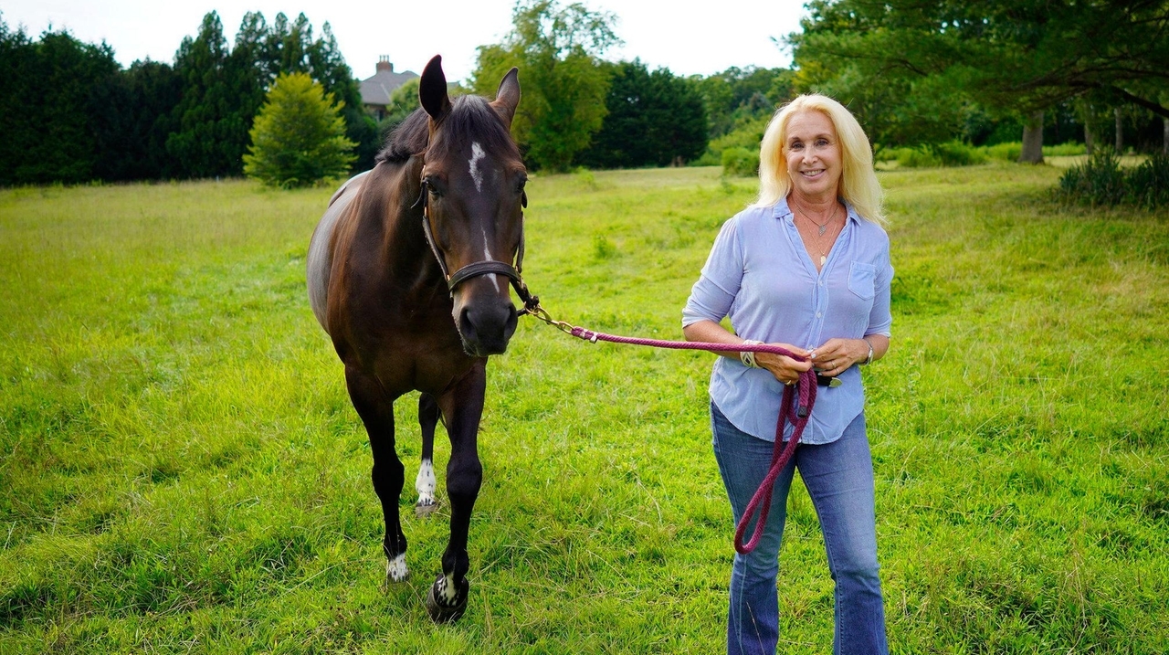 LI woman works to save wild mustangs headed for slaughter - Newsday