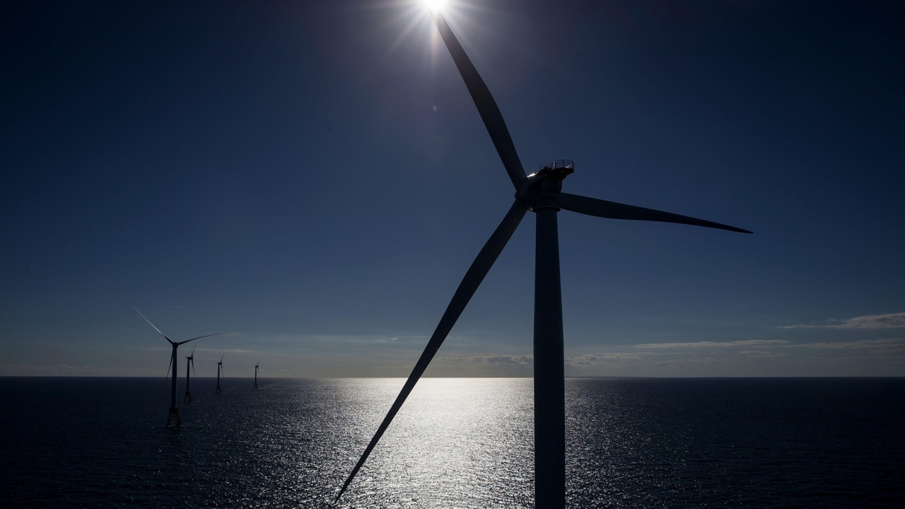 Wind farm filings call attention to potential impacts on sea mammals ...