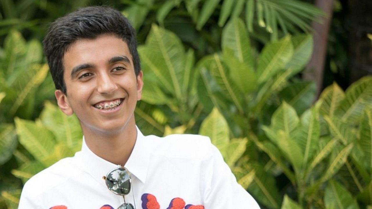 'There's no smile anymore': Mother of Hamptons crash victim Devesh ...