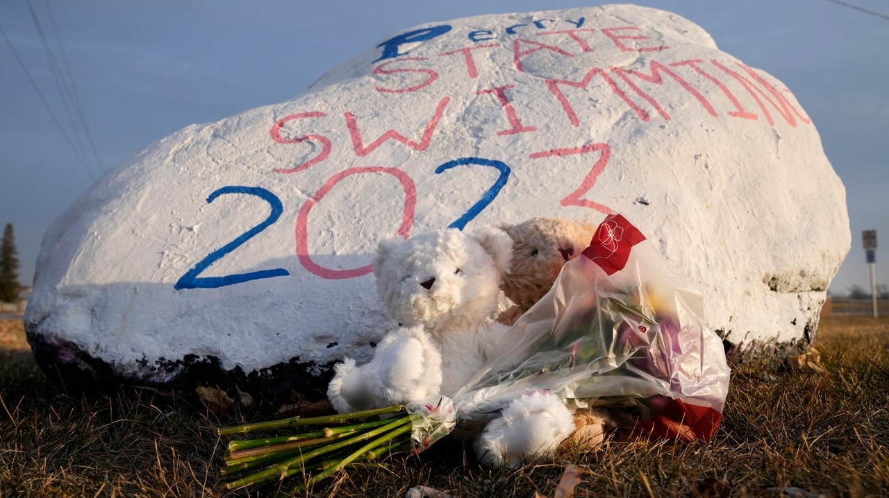 Let's stop domino effect of bullying - Newsday