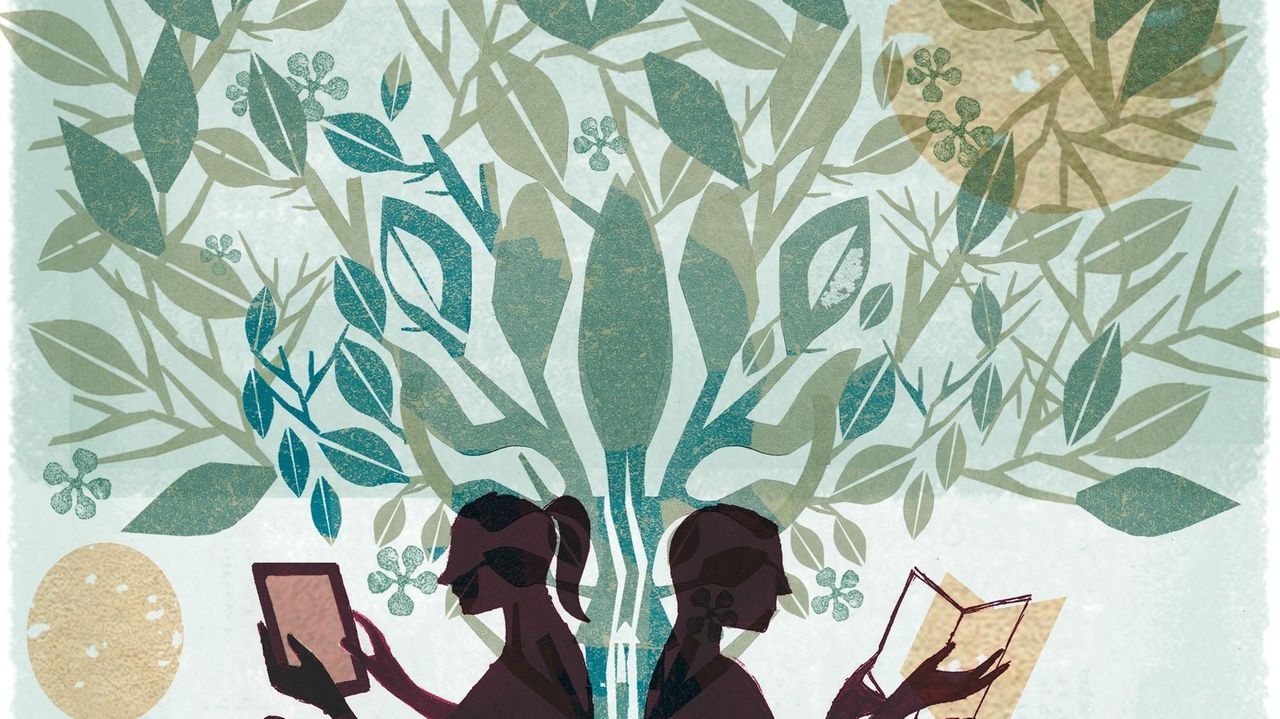 Veihmeyer: Turning the page on childhood illiteracy - Newsday