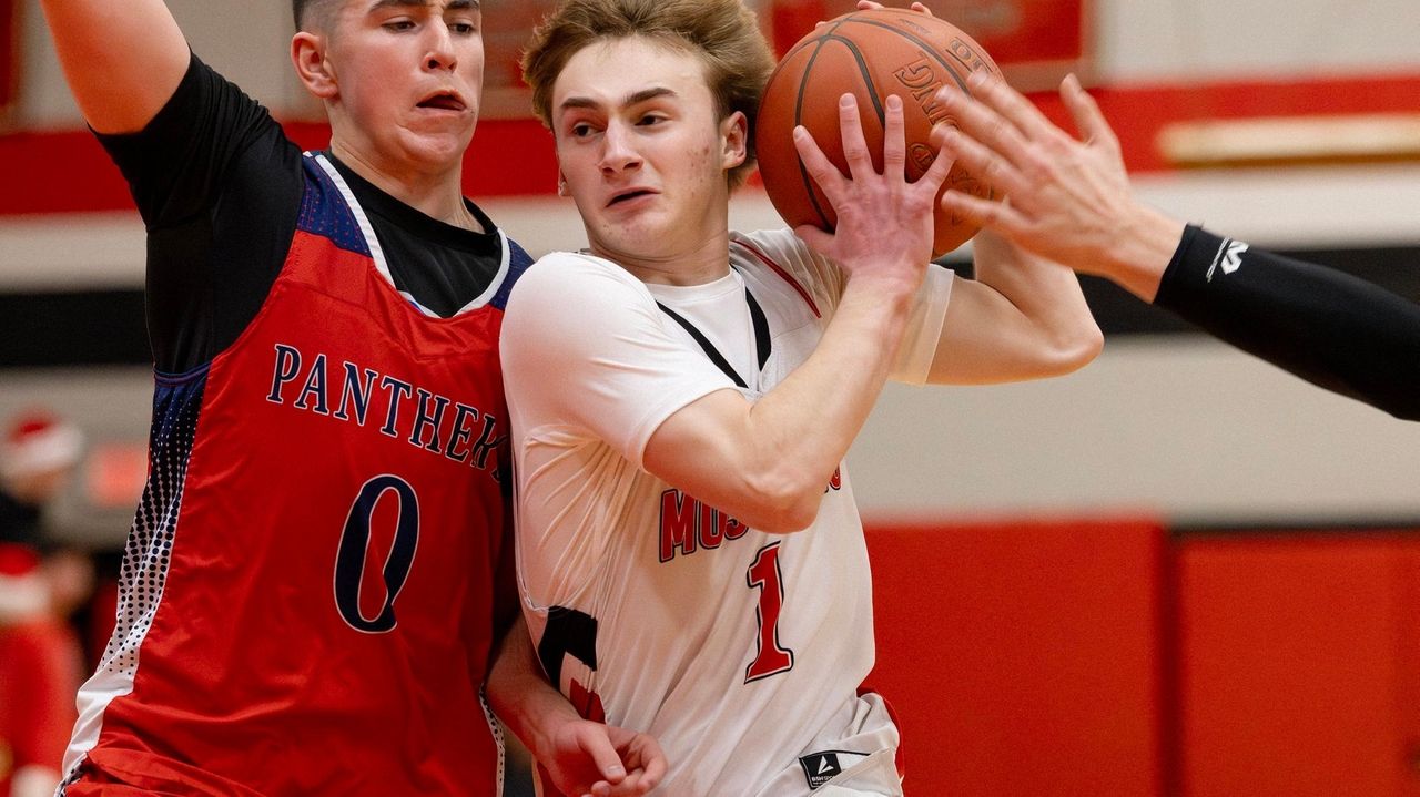 Sophomore point guard Andrew McNeely does it all in Mount Sinai's win ...