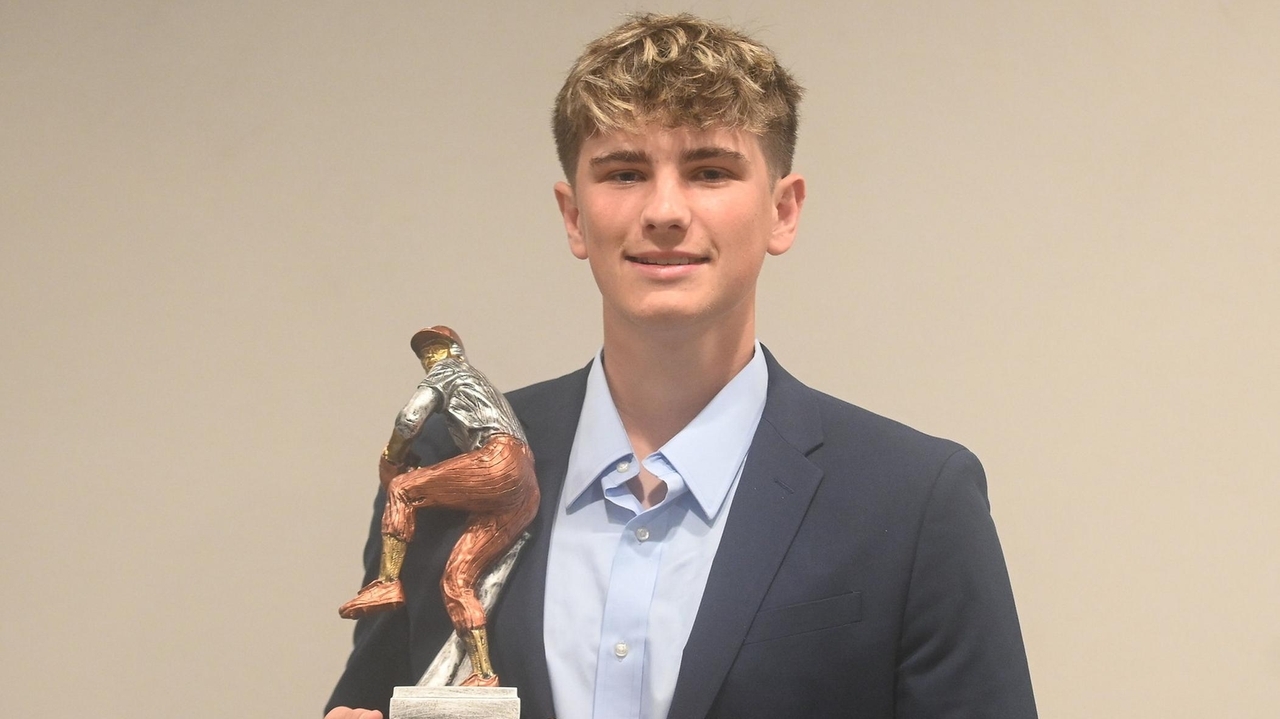Massapequa lefthander Thomas Harding wins Doug Robins Diamond Award as ...