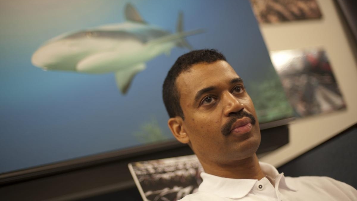 Shark attack survivors head to UN - to save sharks - Newsday