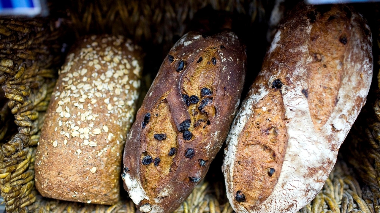 Blue Duck Bakery Café to close original Southampton location - Newsday