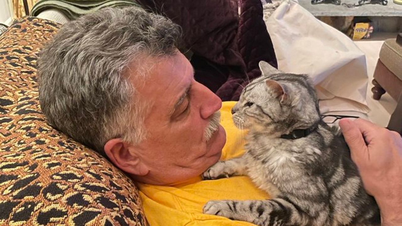 Keith Hernandez's beloved cat, Hadji, dies at 22 - Newsday