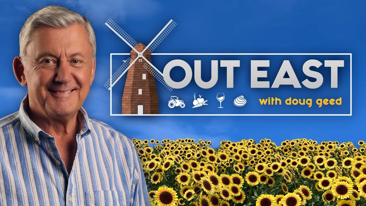 Out East: Mecox Bay Dairy, Kent Animal Shelter, Custer Institute ...